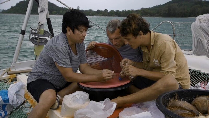 Mit Kompass und Köpfchen auf hoher See S01E13: Thailand, Phuket ...