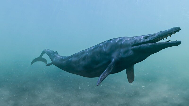 Rückkehr der Urzeit-Giganten S01E04: Der Knochenbrecher-Wal ...