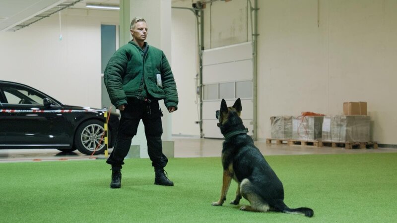 Police Dogs Staffel 1 Episodenguide – fernsehserien.de