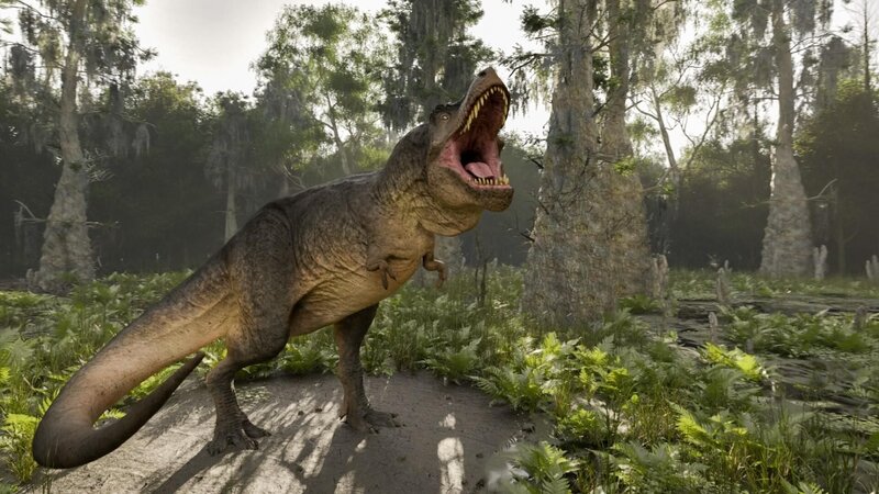 Rückkehr der Urzeit-Giganten S01E01: T-Rex (Secrets Of The Deadly T-Rex ...