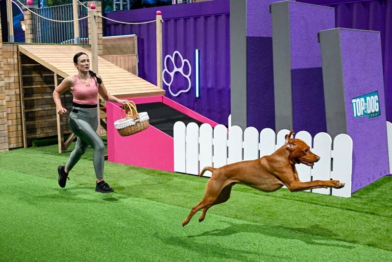 Top Dog Germany – Der beste Hund Deutschlands Staffel 5 Episodenguide ...