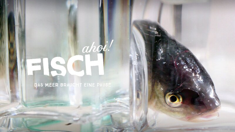 Fisch ahoi! Das Meer braucht eine Pause Nach dem Ochs kommt der Fisch ...