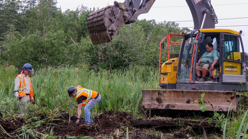 Oak Island – Fluch und Legende Staffel 12 Episodenguide – fernsehserien.de