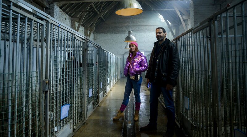 HIP: Ermittlerin mit Mords-IQ Staffel 5 Episodenguide – fernsehserien.de