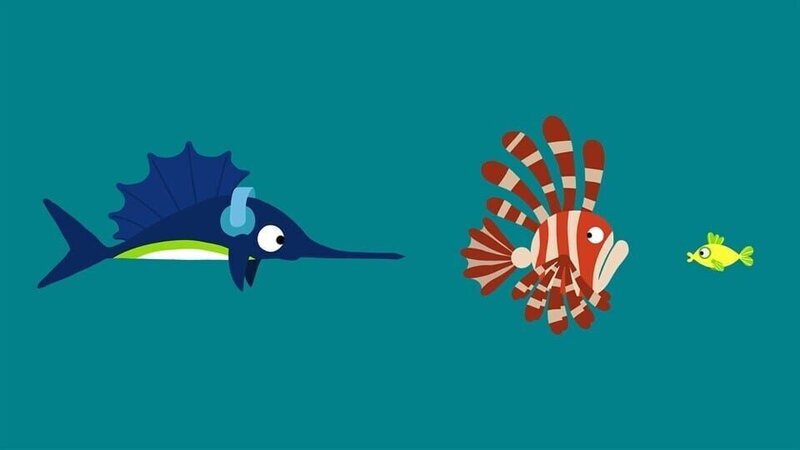Animanimals S01E10: Delfin – fernsehserien.de