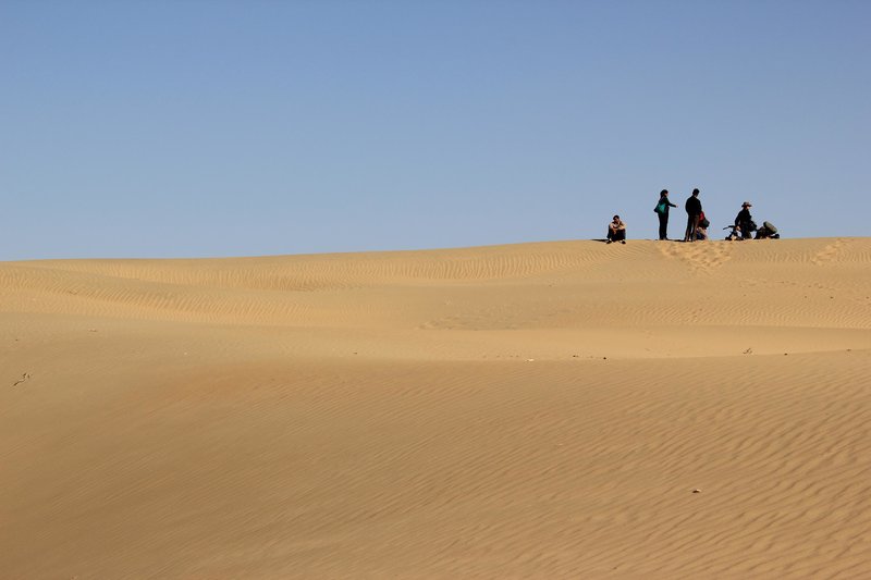 Faszination Wüste 04: Die Gobi, eine Wüste in Bewegung (Désert De Gobi ...