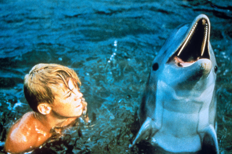 Flipper Staffel 1 Episodenguide – fernsehserien.de