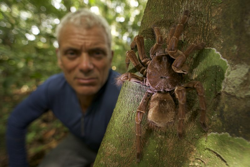 Fluss-Monster S04E08b: Am Essequibo – Teil 2 (Lair Of Giants (2 ...