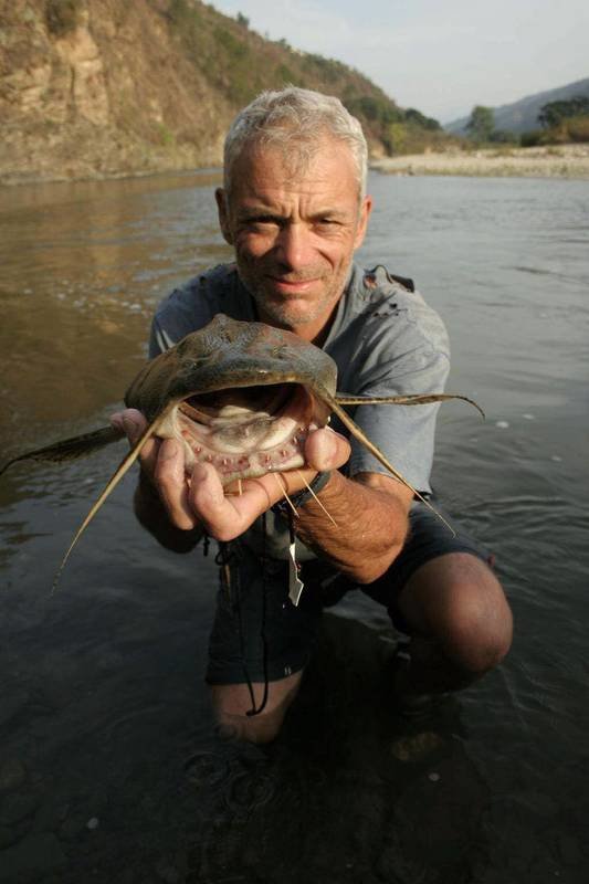 Fluss-Monster S04E04: Der gemeine Hubschrauberwels (Asian Slayer ...