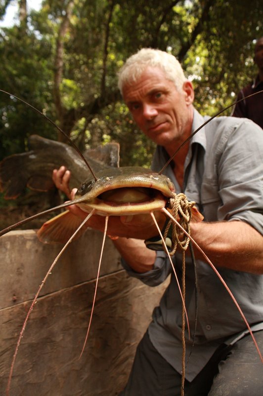 Fluss-Monster S01E04: Der Riesenwels (European Maneater) – fernsehserien.de