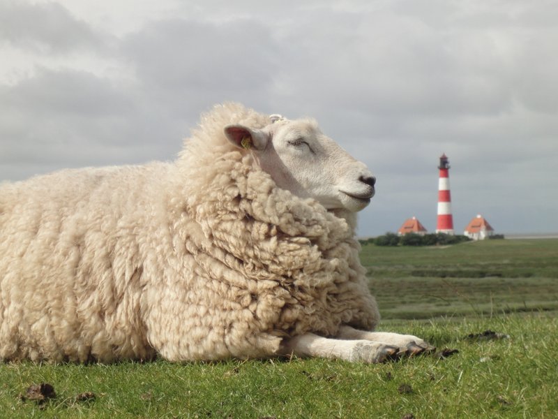 Naturparadies Deutschland Staffel 2 Episodenguide – fernsehserien.de