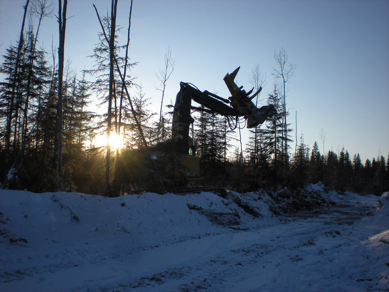 Holzfäller extrem (Extreme Loggers) Staffel 1 Episodenguide ...