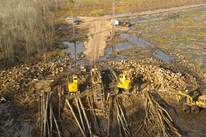 Holzfäller extrem (Extreme Loggers) S01E02: Mit Axt und Maultier (Mule ...