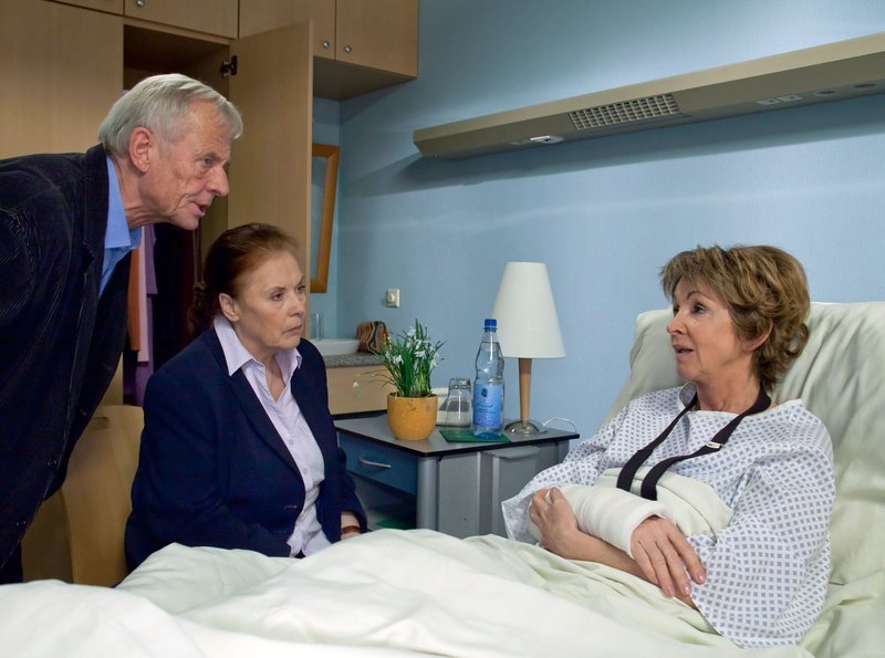 In aller Freundschaft (IAF) Staffel 12 Episodenguide – fernsehserien.de