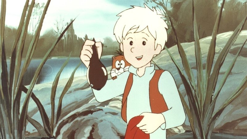 Nils Holgersson 17: Fummle-Drummle – fernsehserien.de