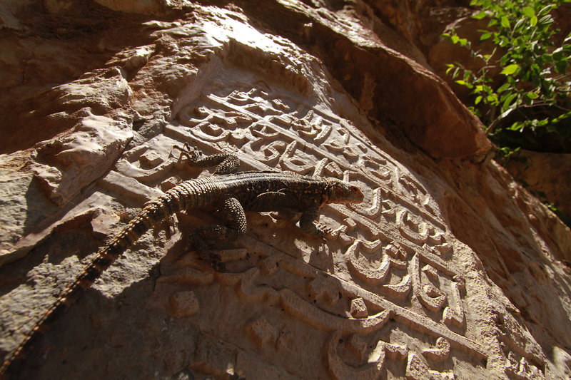 Wilder Iran Dokumentation in 2 Teilen Episodenguide – fernsehserien.de