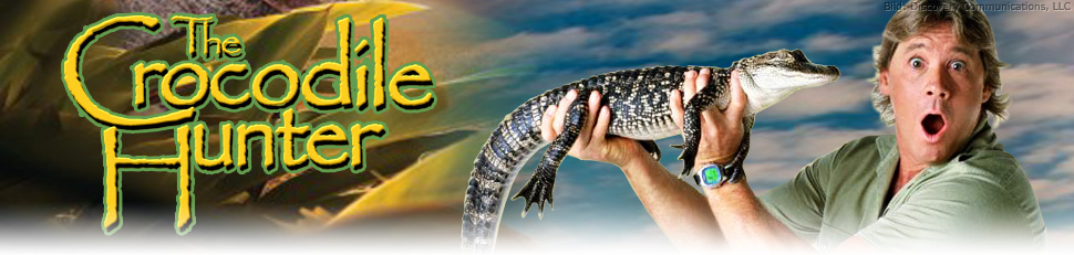 Crocodile Hunter – fernsehserien.de
