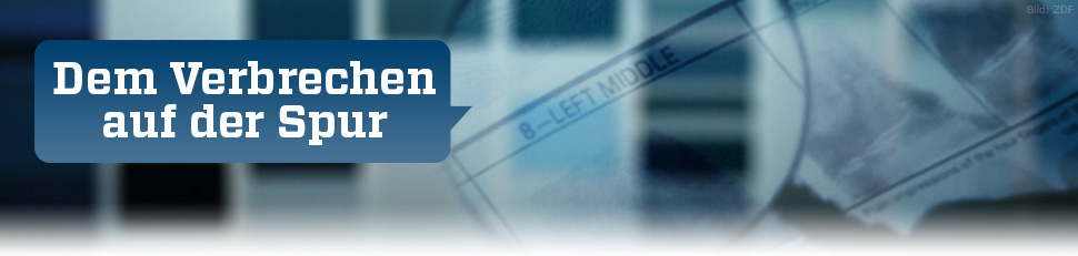 Dem Verbrechen auf der Spur – fernsehserien.de