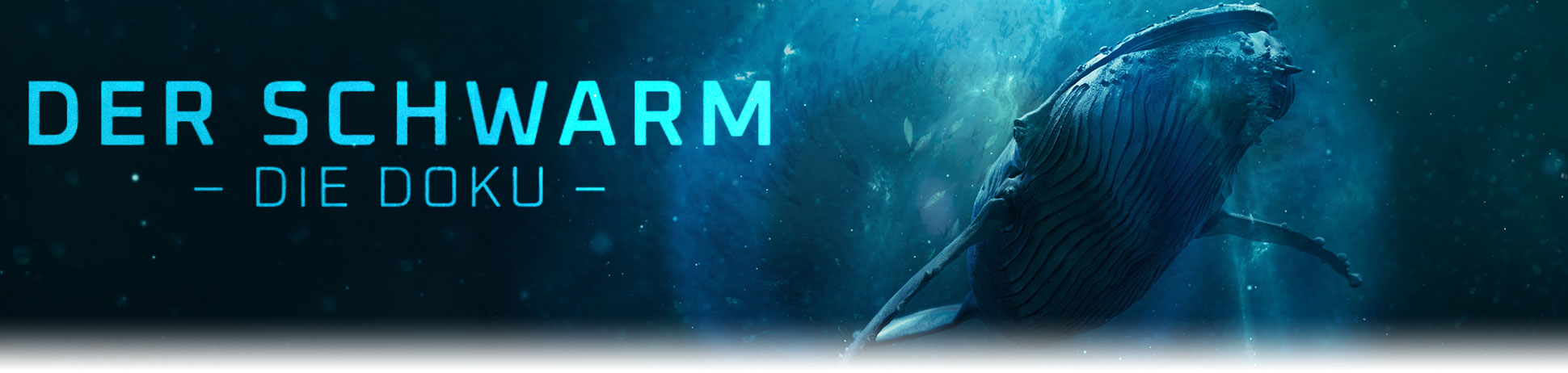 Der Schwarm – Die Doku – fernsehserien.de
