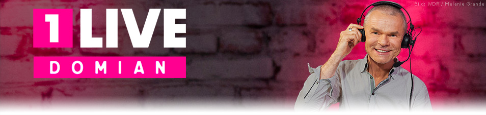 Domian – fernsehserien.de