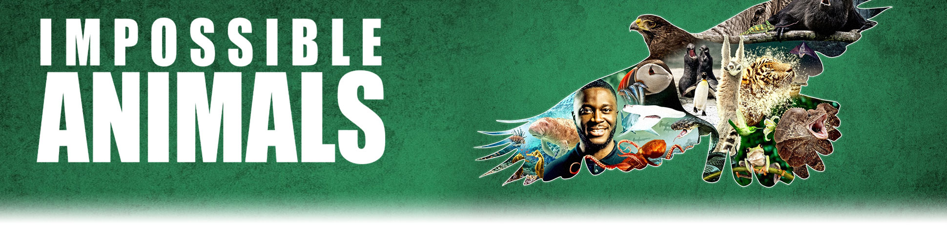 Impossible Animals – fernsehserien.de