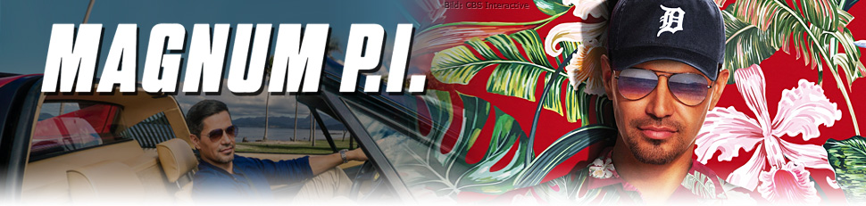 Magnum (2018) Episodenguide – fernsehserien.de