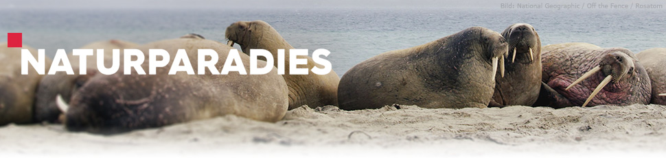 Naturparadies – fernsehserien.de