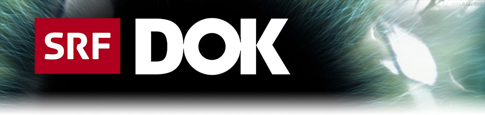 SRF DOK Sendetermin SRF 1 18.12.2025 20:10 Uhr: The Great Himalaya Trail – Eine Schweizerin auf ...