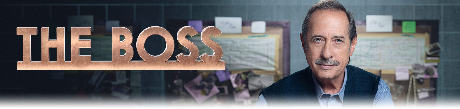 The Boss – fernsehserien.de