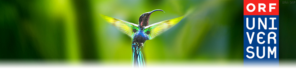 Universum – fernsehserien.de