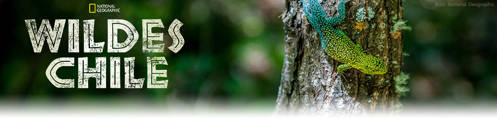 Wildes Chile – fernsehserien.de