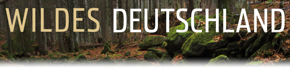 Wildes Deutschland – fernsehserien.de