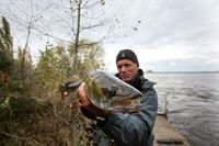 Fluss-Monster S05E02: Der Mutantenfisch von Tschernobyl (Atomic ...