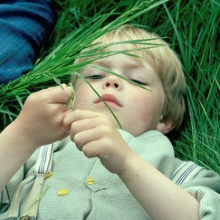 Filmografie Marius Damslev – fernsehserien.de