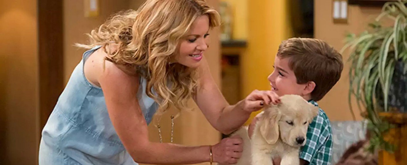 „Fuller House“: Die Olsens kommen nicht mehr zu Besuch, Hund Cosmo ...