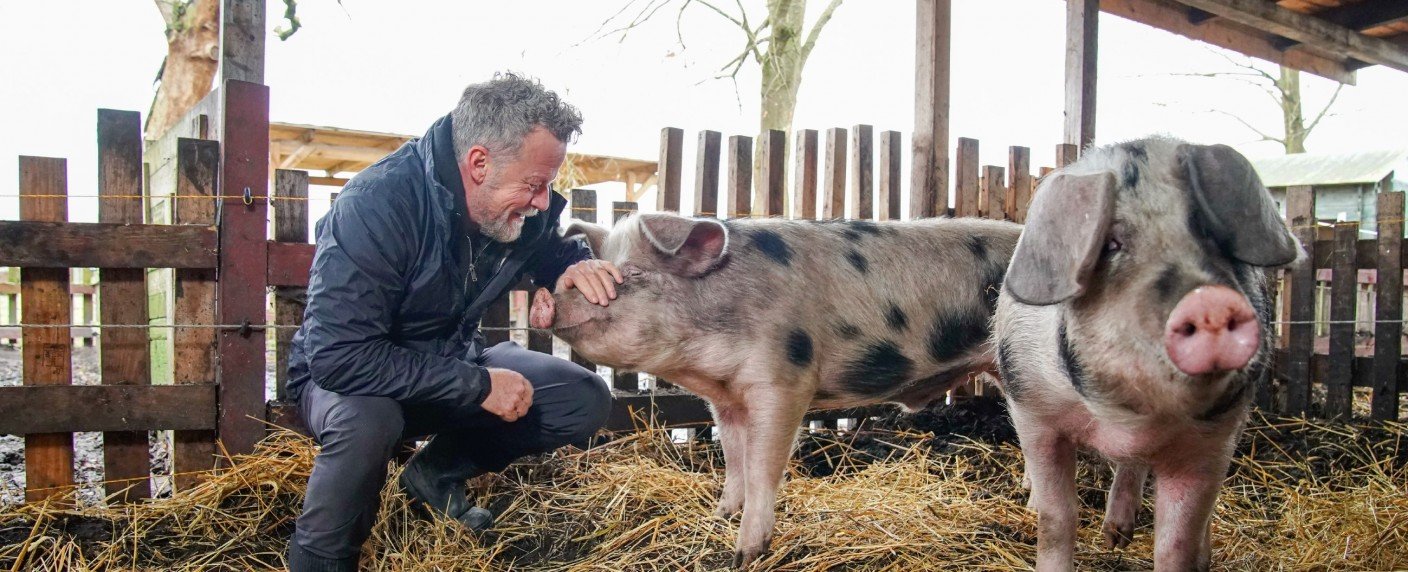 RTL zeigt „Das Jenke-Experiment“ über Fleischkonsum ein zweites Mal ...
