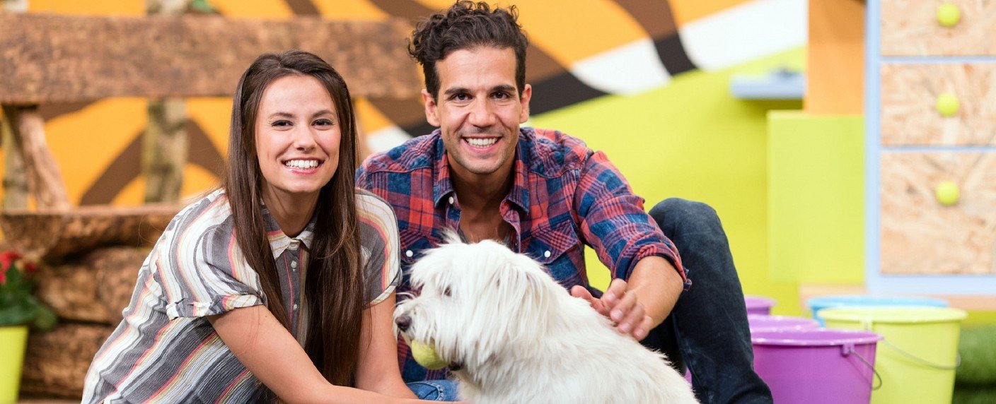„Einfach tierisch“: Super RTL startet weiteres Wissensmagazin ...