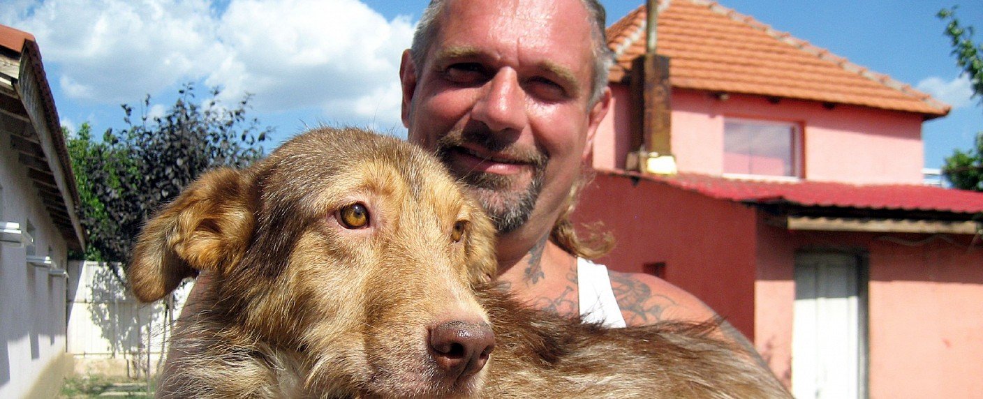 „Harte Hunde“: Ralf Seeger hilft Vierbeinern in Not – fernsehserien.de