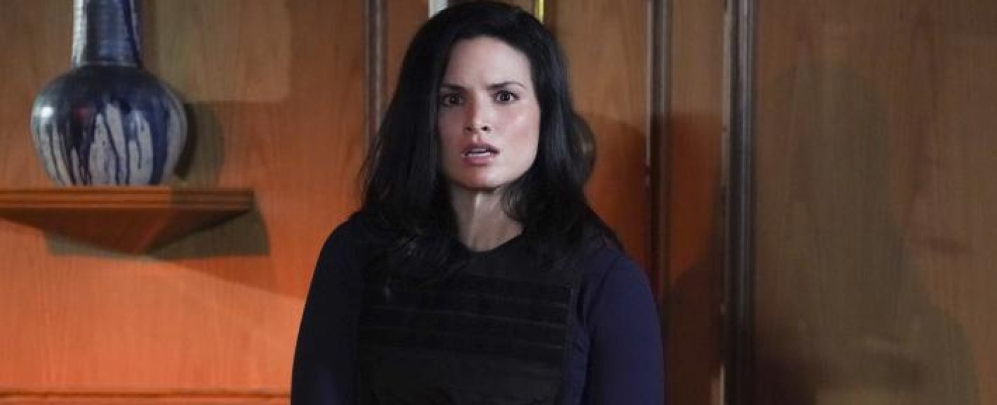 „Hawaii Five-0“: Zehnte Staffel feiert noch im Januar ...