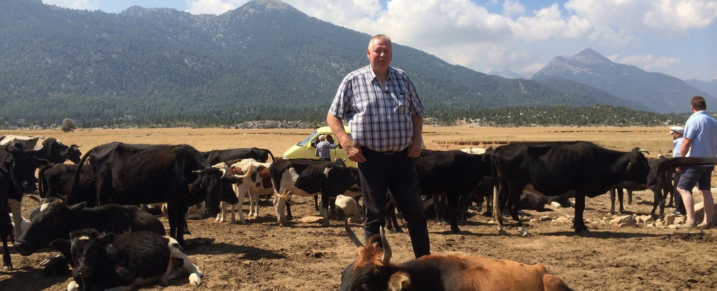 Anlässlich Tamme Hankens Tod: NDR und kabel eins ändern Programm ...