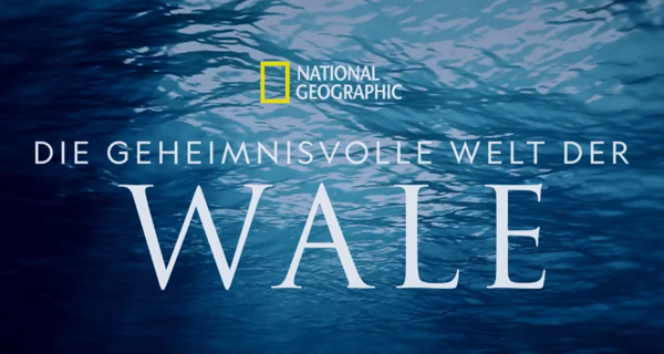 Die geheimnisvolle Welt der Wale – fernsehserien.de