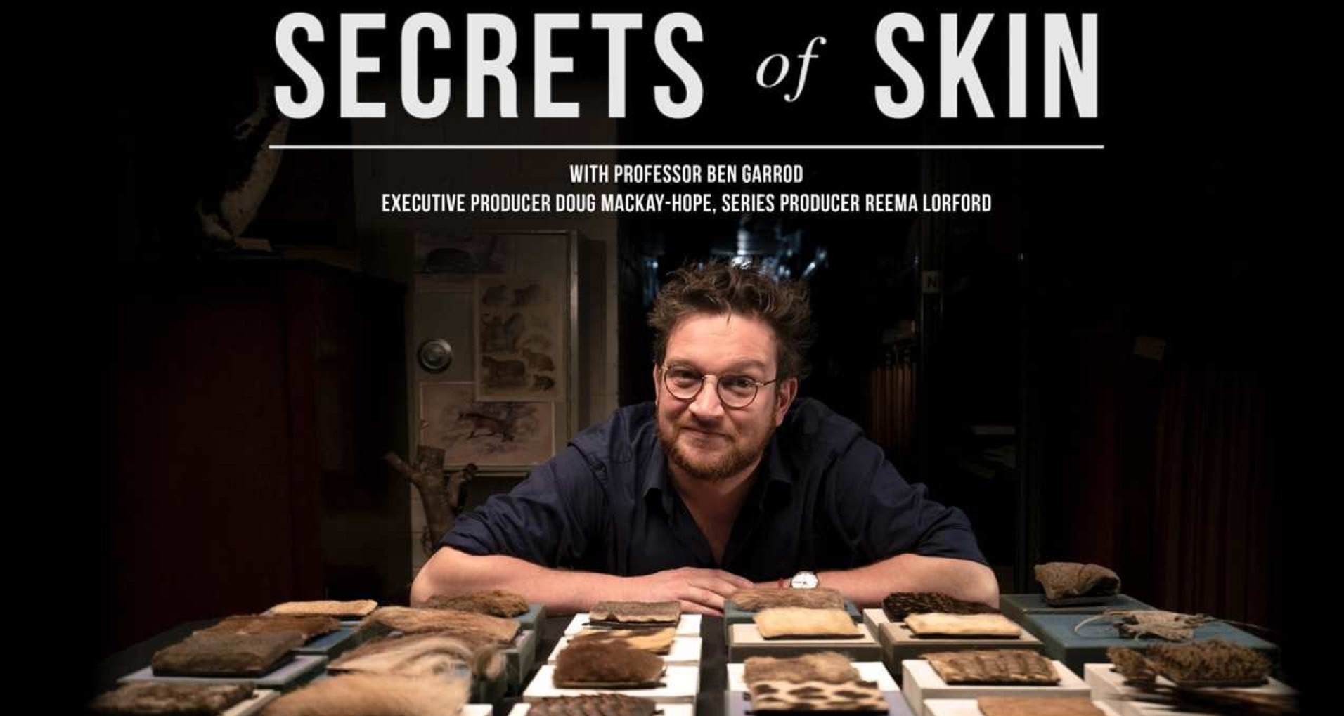 Faszination Haut im Fernsehen (Sky Showcase HD) – fernsehserien.de